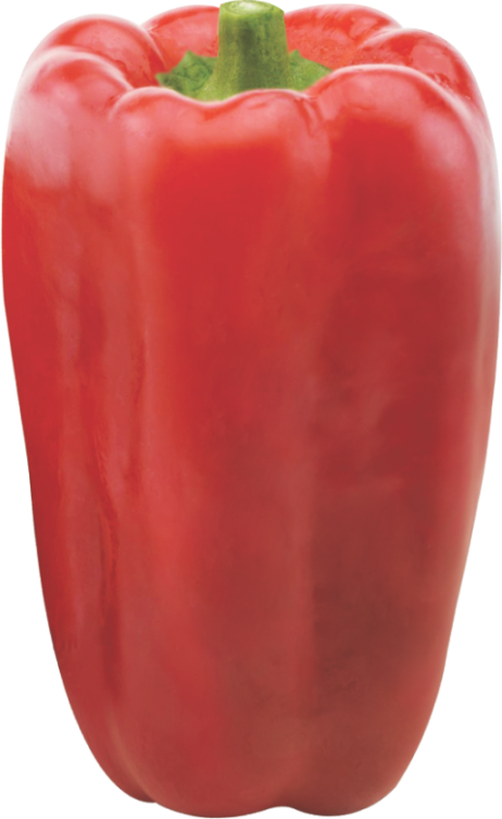 Pimiento Calibello: el estándar de calidad deseado por el mercado ...