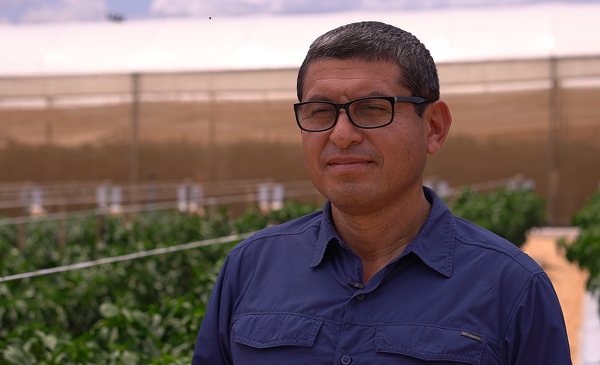 Testimonios de algunos participantes del Sakata Field Day 2021 - Sakata ...