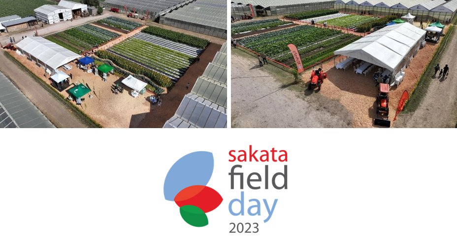 Sakata Argentina concluye con éxito la 3ª edición del Sakata Field Day ...