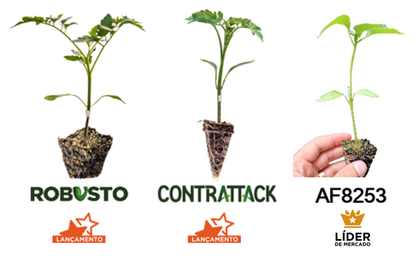 Conozca los productos que se destacaron en la Feria Hortitec 2023 ...