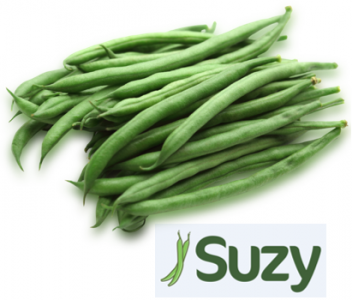 Feijão-vagem Suzy apresenta alta produtividade e qualidade - Sakata